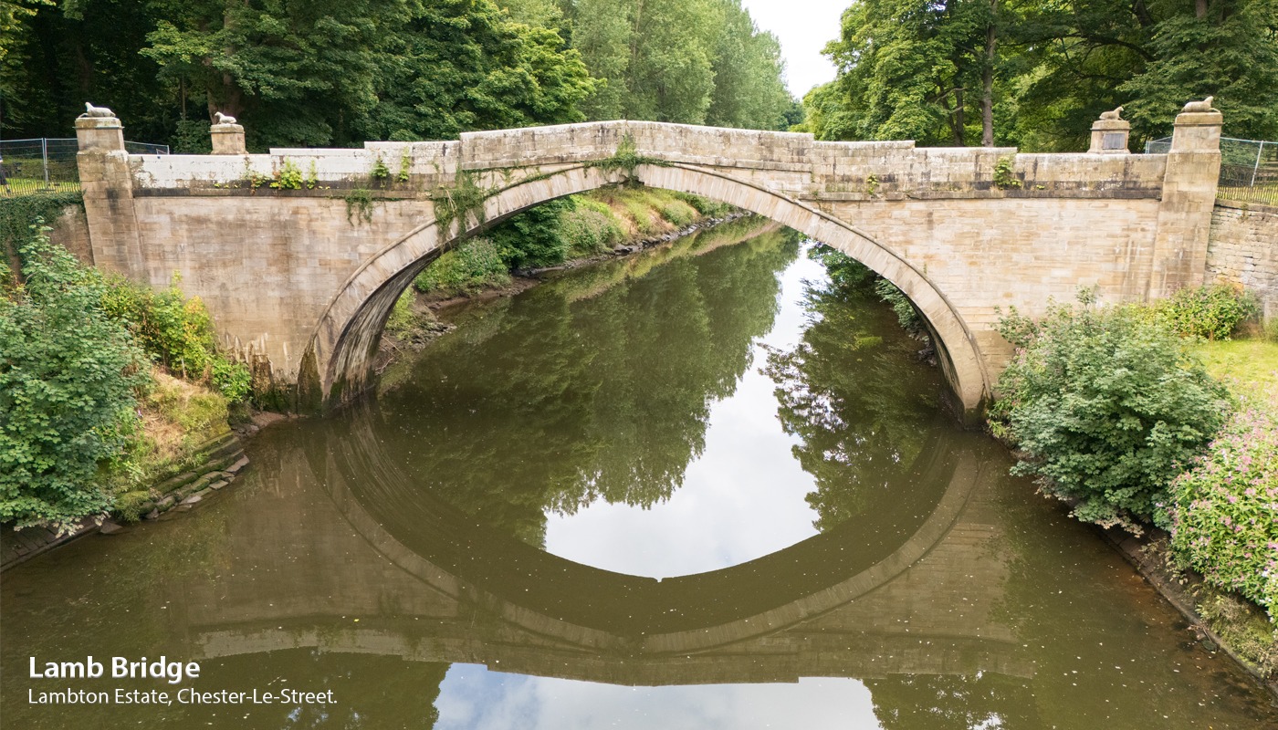 Captivating Aerial Photography