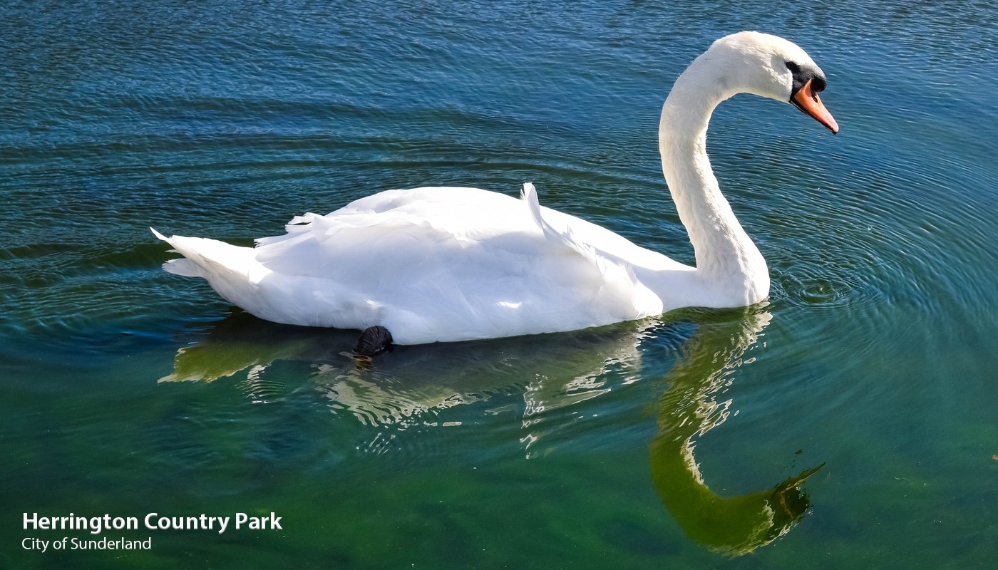 Captivating Aerial Photography